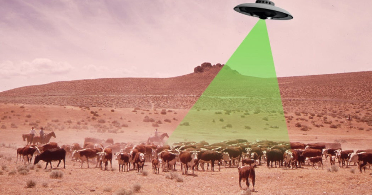 The 1970s Cow Mutilation Mystery — Bunk