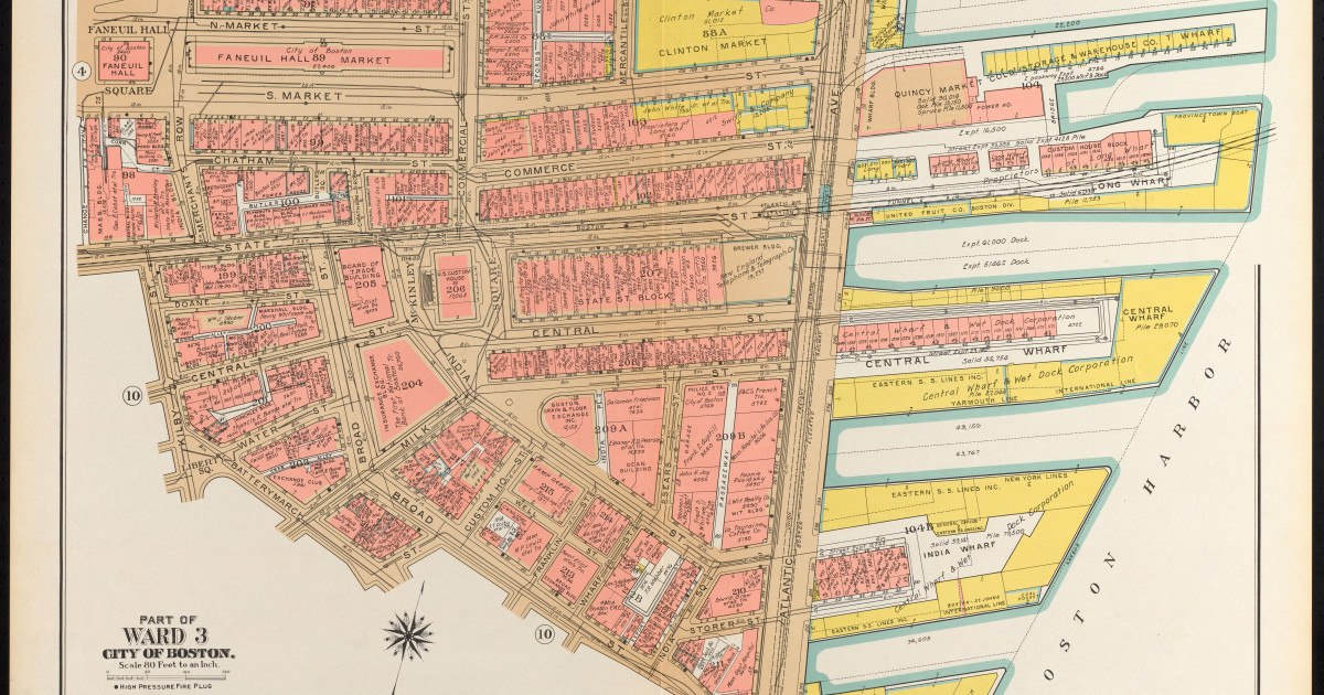 Building Blocks — Bunk