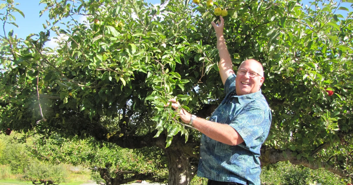 On the Hunt for America’s Forgotten Apples — Bunk