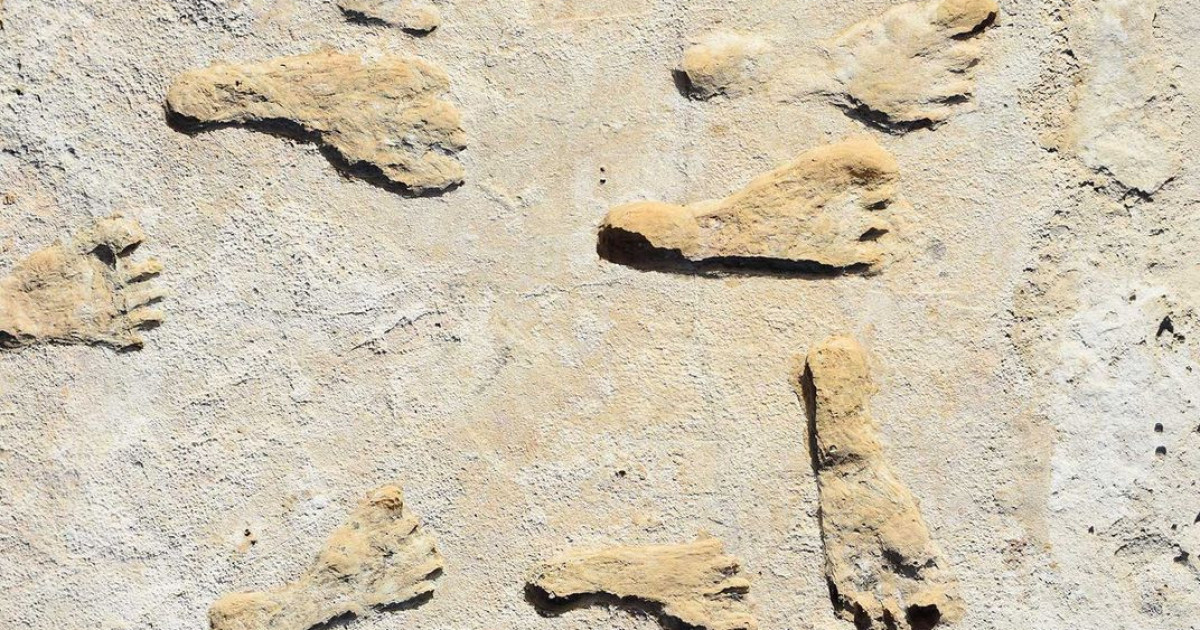North America's Oldest Known Footprints Point to Earlier Human Arrival ...