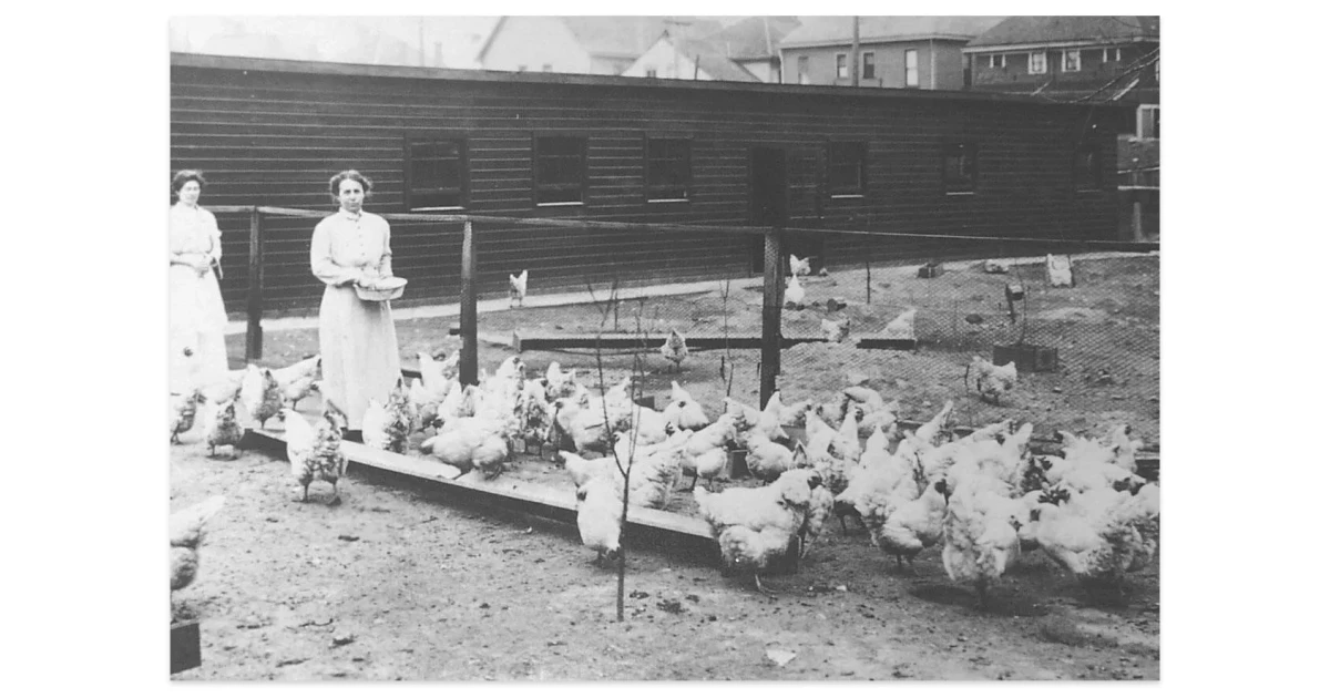 The Forgotten History of America’s First Public Women’s Prison — Bunk