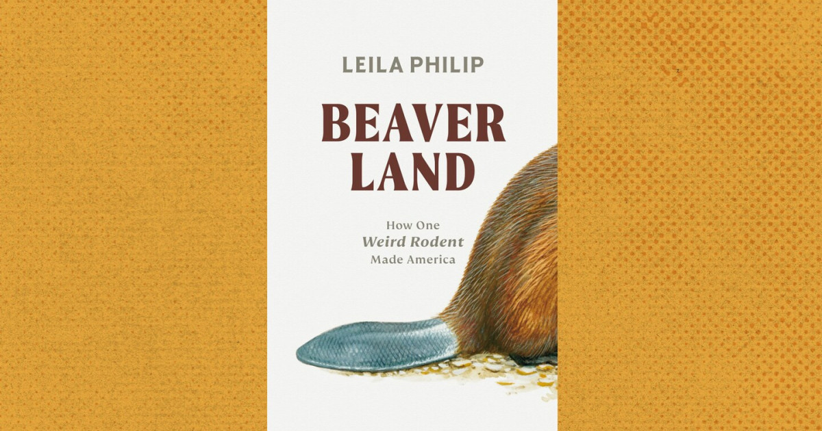 A Fascinating History of Beavers Shows How the Species Shaped the U.S ...