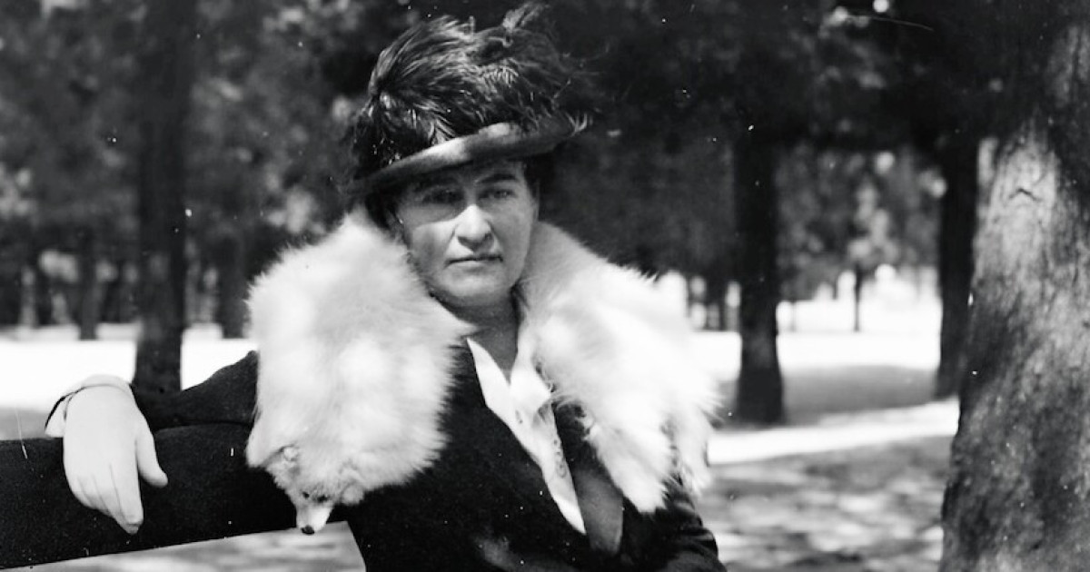 Prairie Swooner — Bunk