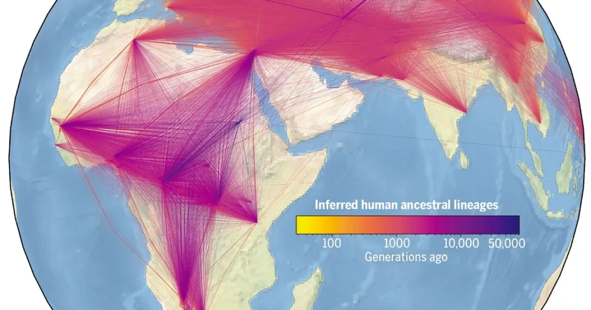 Largest Human Family Tree Identifies Nearly 27 Million Ancestors — Bunk