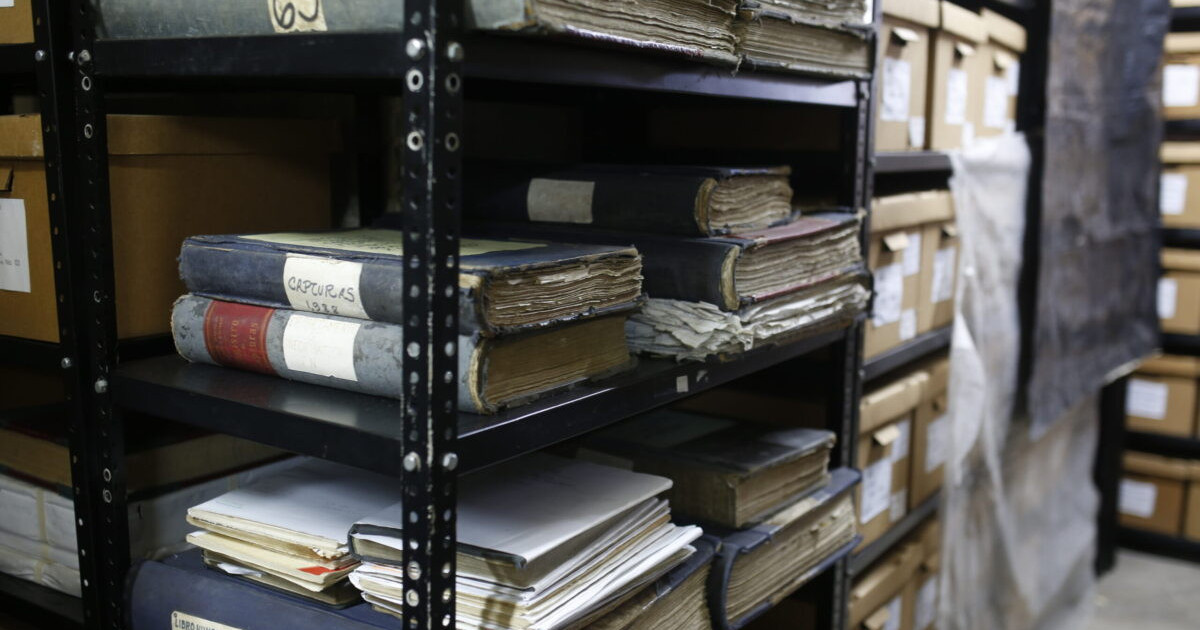 Rachel Nolan: In the Best Interest of the Child — Bunk