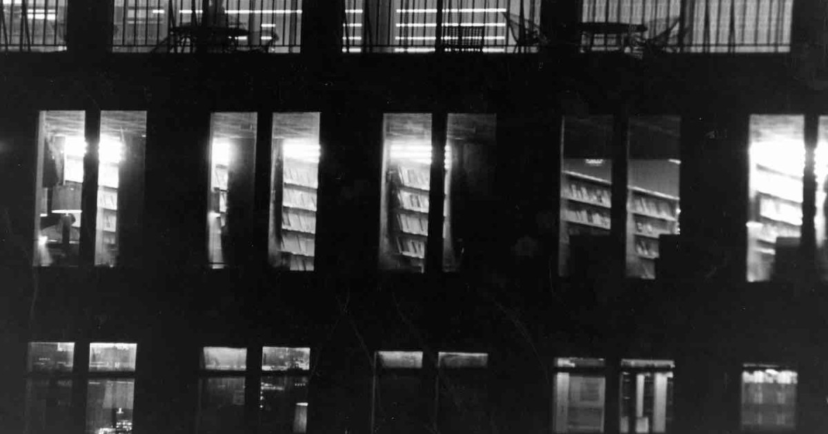 The Education Factory — Bunk