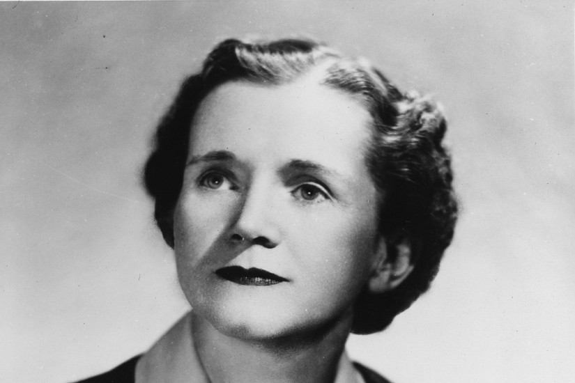 A Strange Blight: Rachel Carson’s Forebodings — Bunk History