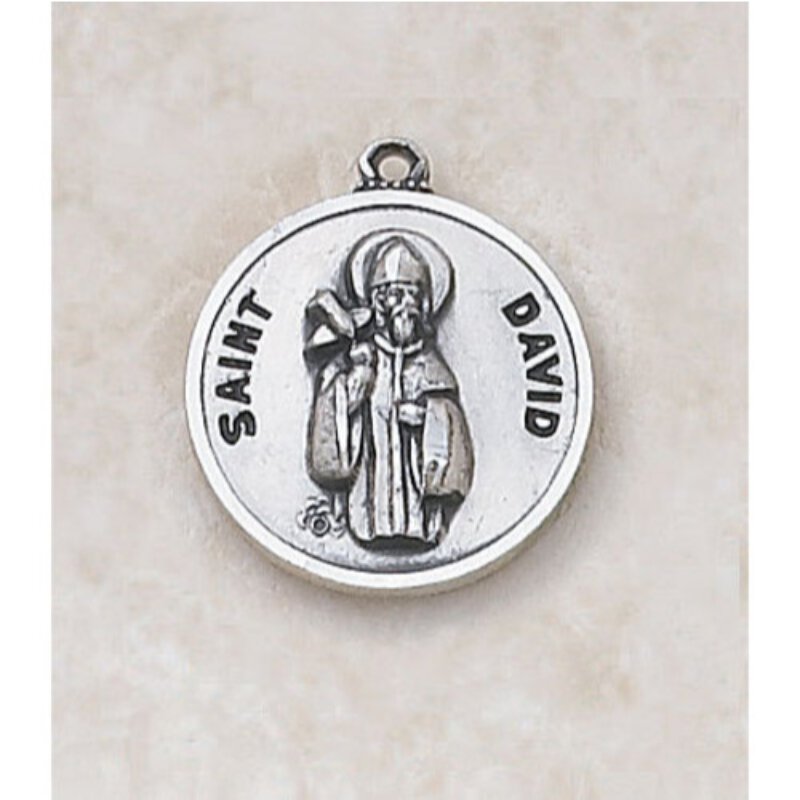 Saint David Medal - in Sterling Silver, Patron Saints: Catholic Gifts ...