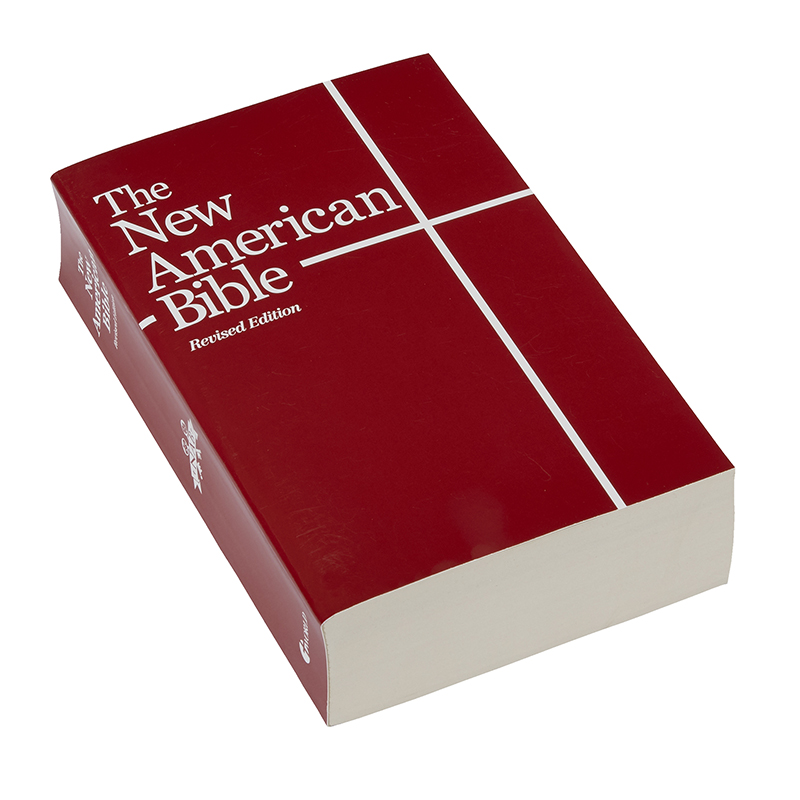 Paperback New American Bible - Quantity Priced 20/case, New American ...