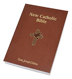 Large Print Catholic Bible - in Burgundy Leather, New American Version ...