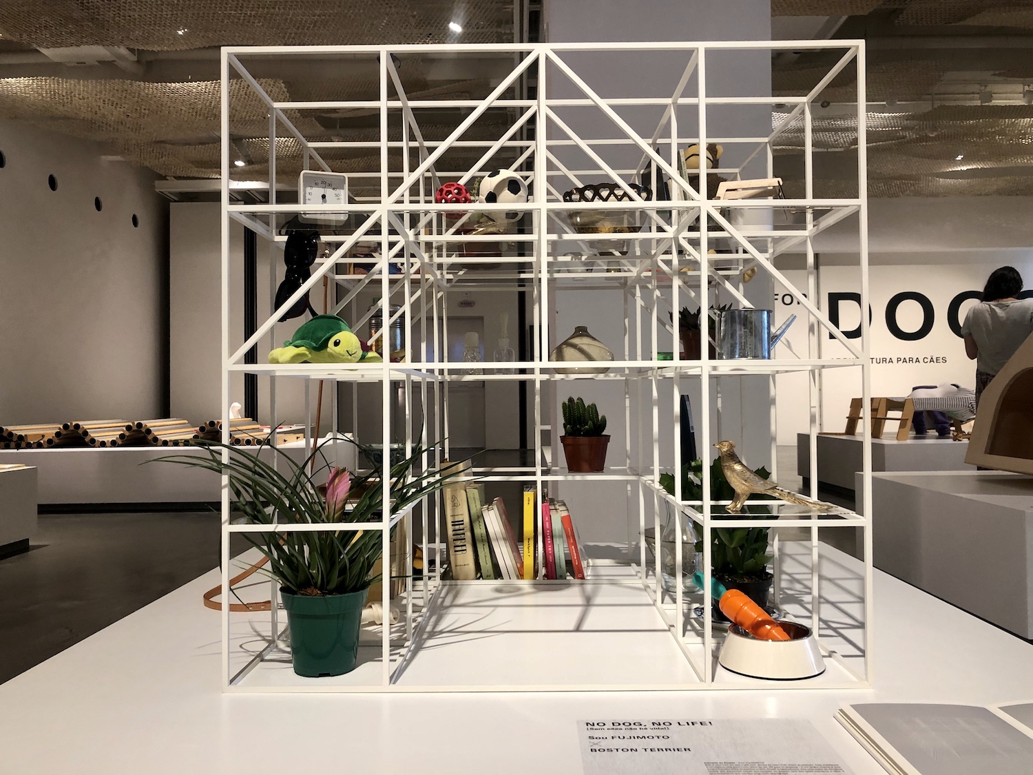 Architecture for Dogs, a exposição da Japan House que cria mundos para ...