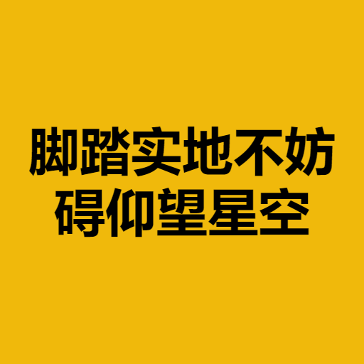 Buy 脚踏实地不妨碍仰望星空 in New Zealand | Coindisco