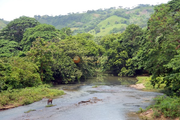 Códigos Postales | Hato Mayor | República Dominicana