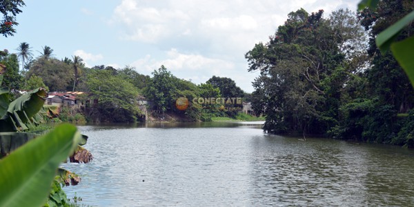 Principales Rios | Republica Dominicana