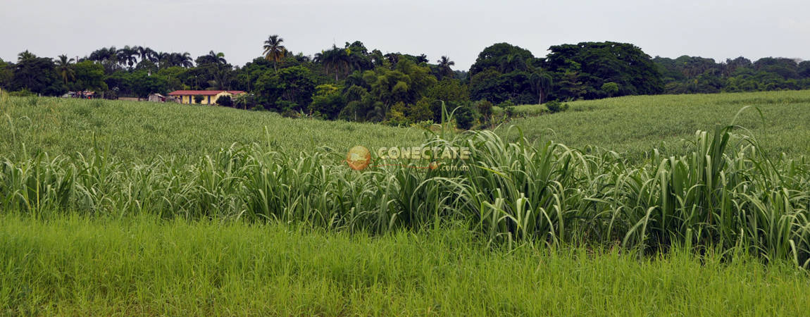 Hato Mayor del Rey | República Dominicana