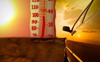 Apolo Taxi, Teléfono | Santo Domingo | Distrito Nacional