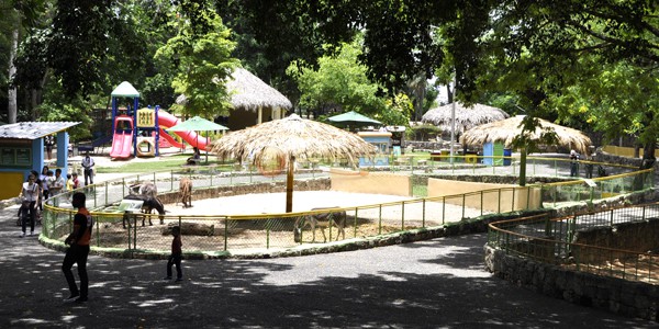 Cómo Planear una Visita al Zoologico Consejos Tips