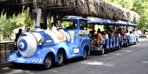 Cómo Planear una Visita al Zoologico | Consejos Tips