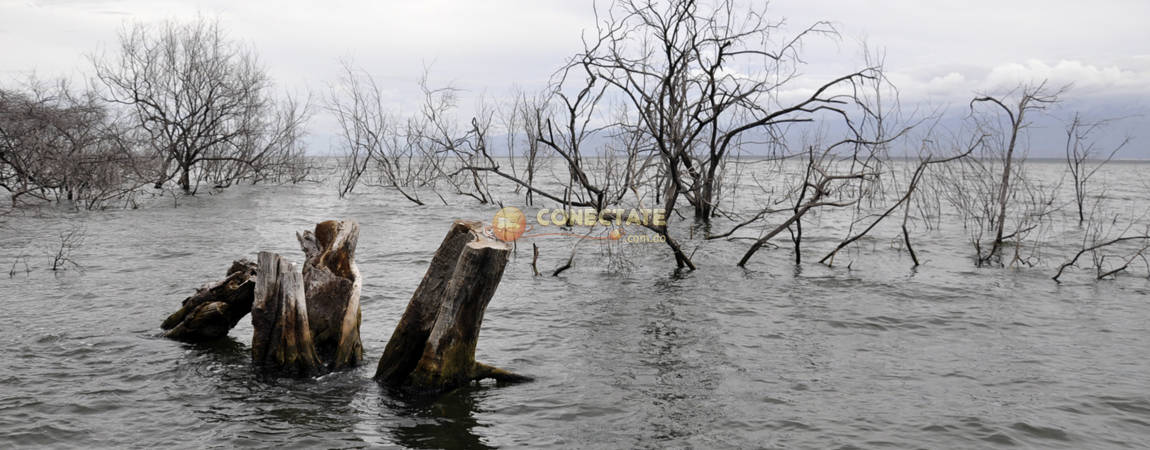 Lago Enriquillo Republica Dominicana