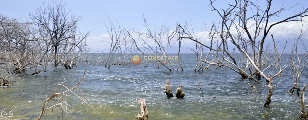 Lago Enriquillo Republica Dominicana