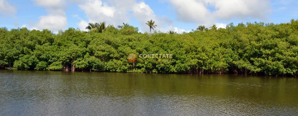 Nagua María Trinidad Sánchez República Dominicana