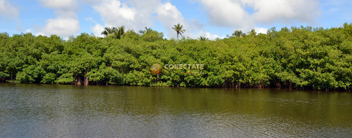 Nagua María Trinidad Sánchez República Dominicana