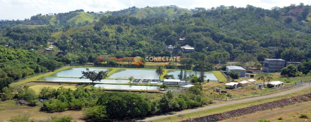 Cotuí Sánchez Ramírez República Dominicana