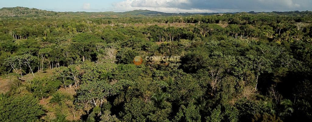 Bayaguana Monte Plata República Dominicana