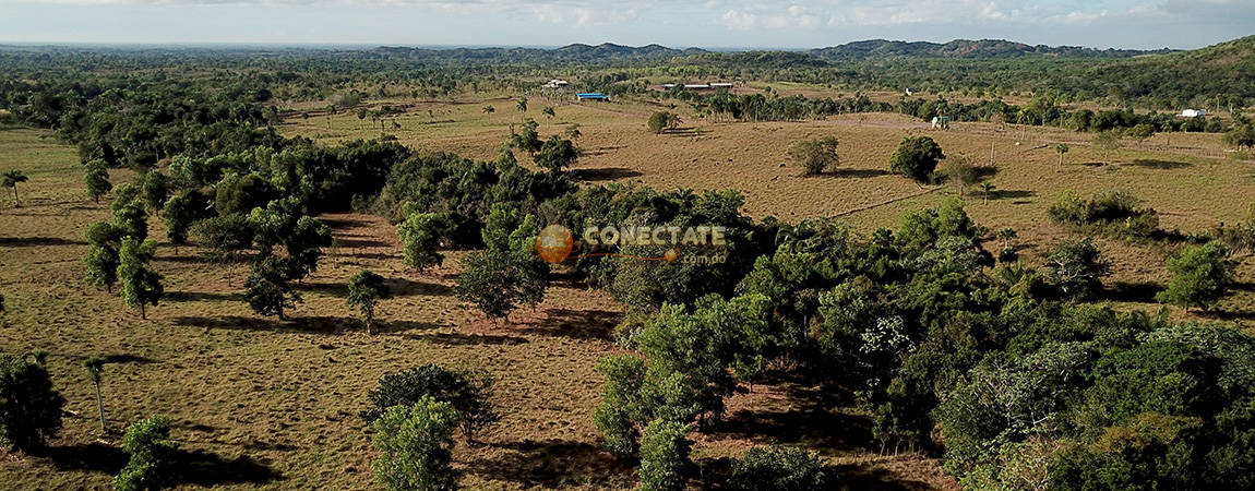 Bayaguana Monte Plata República Dominicana