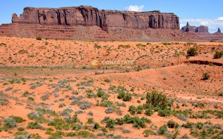 Apolo Taxi, Teléfono | Santo Domingo | Distrito Nacional