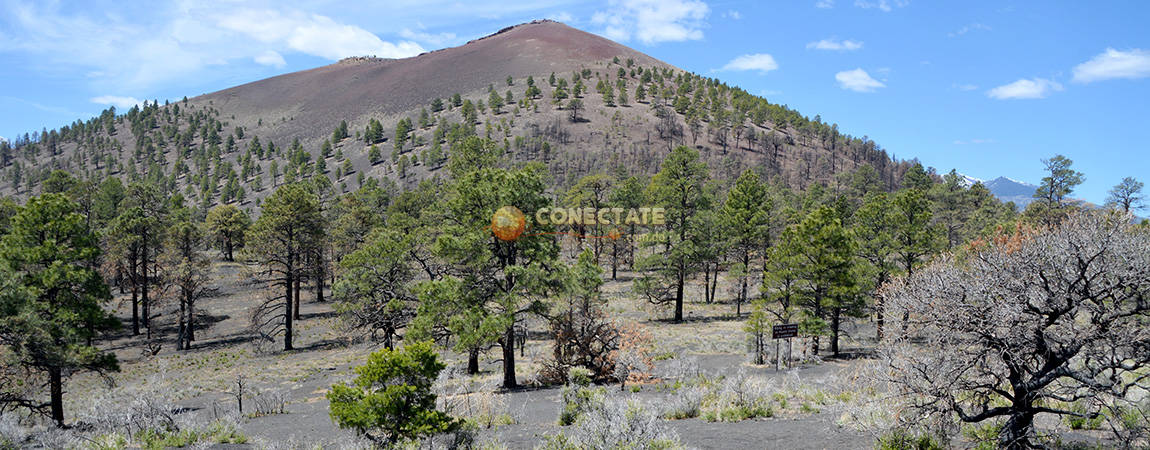 Parques Nacionales Arizona Estados Unidos