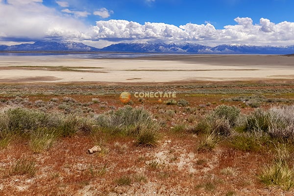Parque Estatal de la Isla Antílope Utah Estados Unidos
