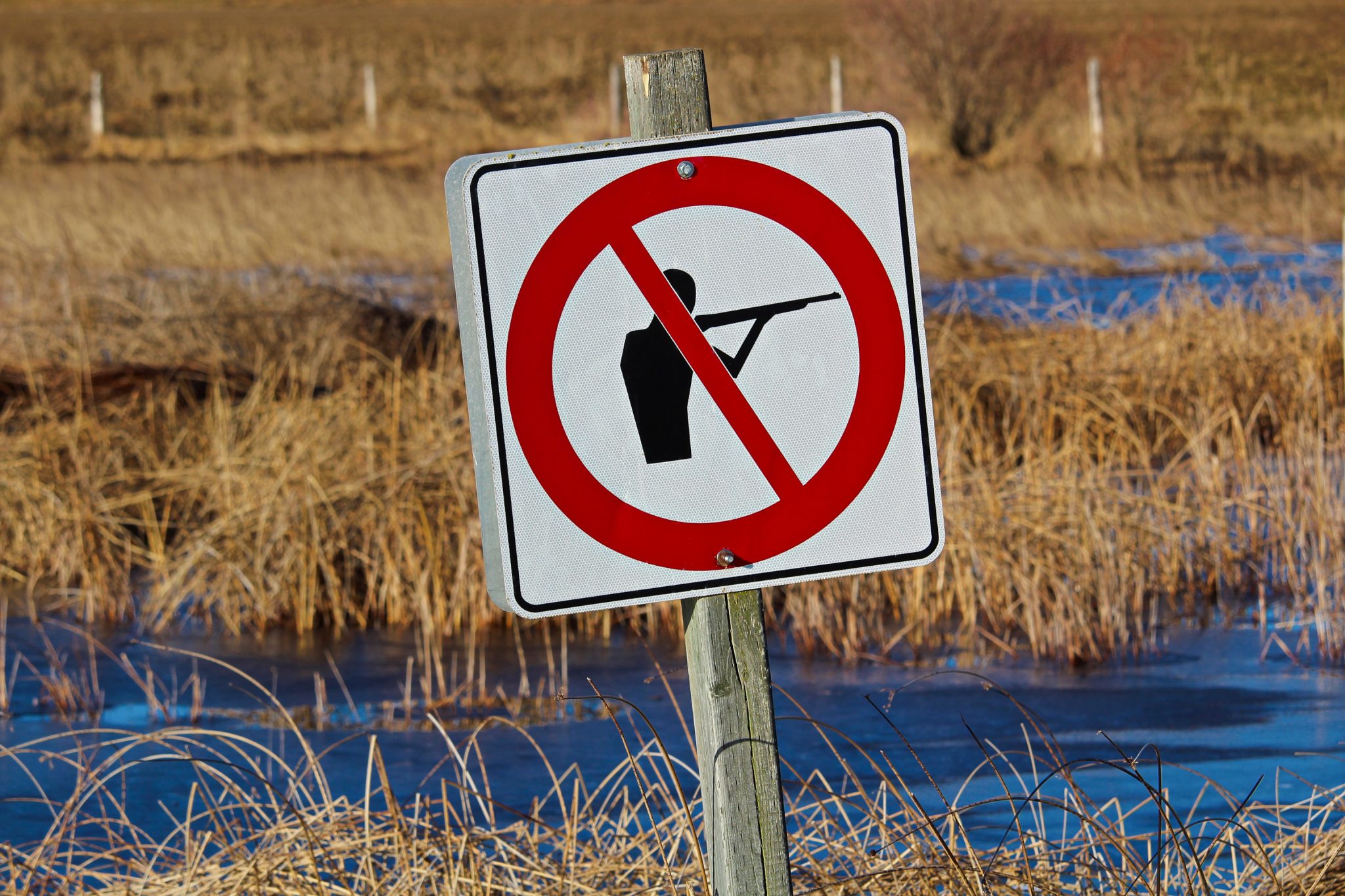 Sunday Hunting Restrictions – Congressional Sportsmen's Foundation