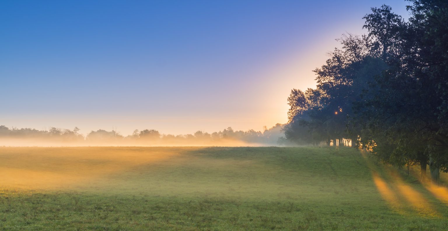 Open Fields Doctrine – Congressional Sportsmen's Foundation