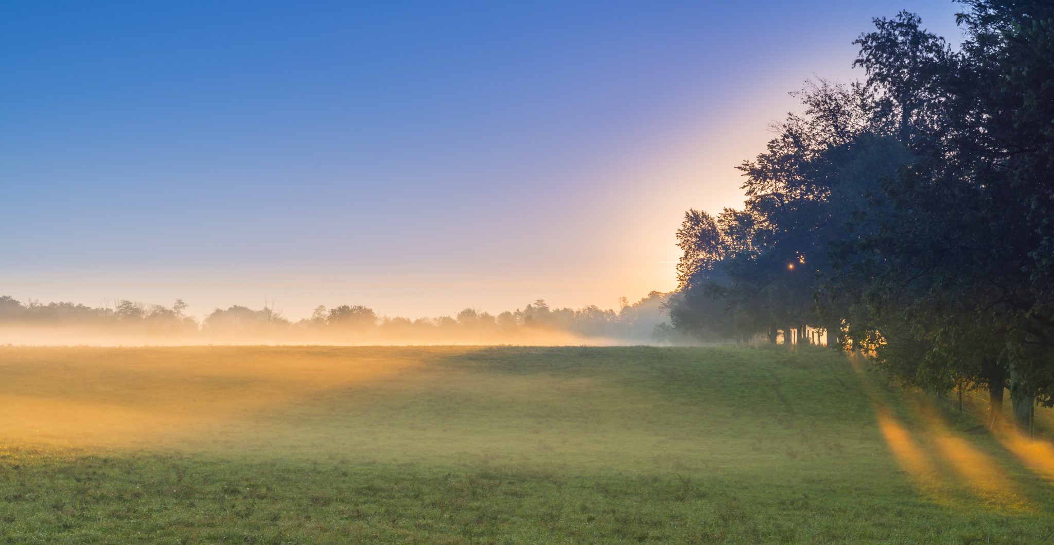 Open Fields Doctrine – Congressional Sportsmen's Foundation