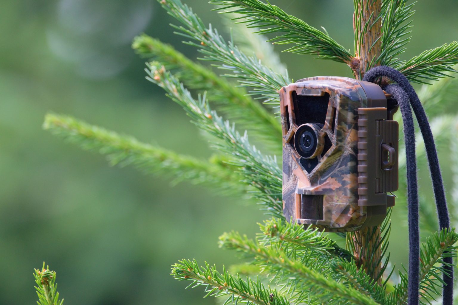 Right to Hunt, Fish and Harvest Wildlife – Congressional Sportsmen's ...