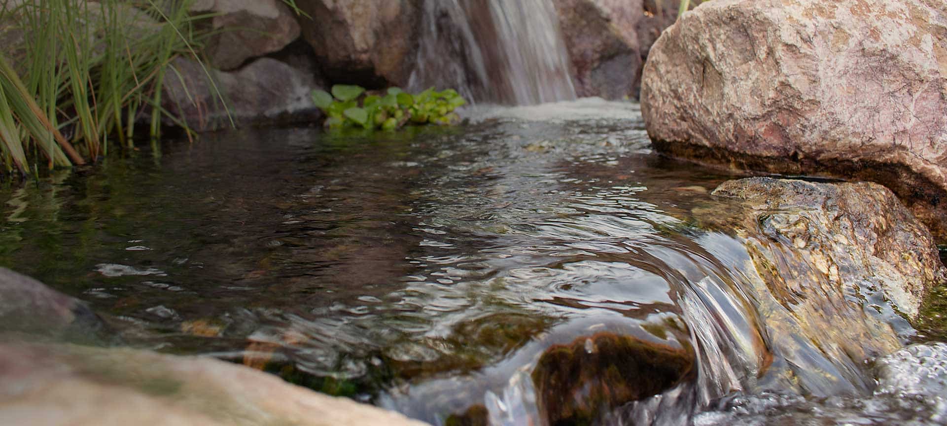 Water Garden & Koi Pond Supplies |Natural Clear Water Guaranteed ...