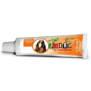 Oral Care Products For Pets @Dentaldepot.Com