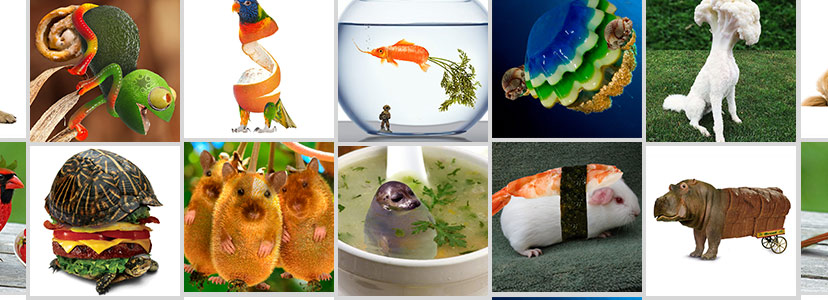 When Pets And Animals Look Strangely Like Food