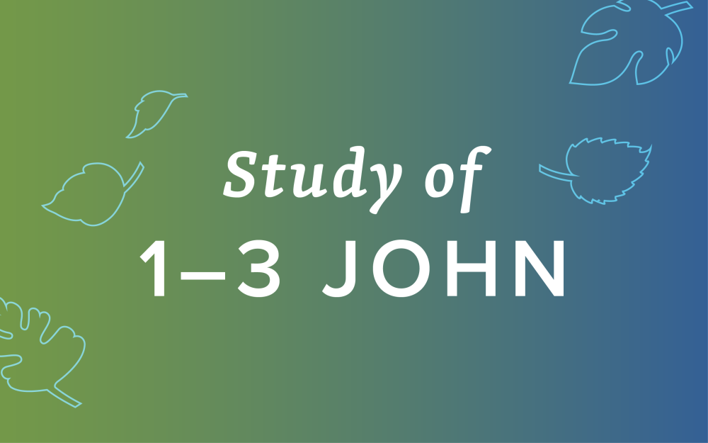 1, 2 and 3 John Study — EFCA Helps