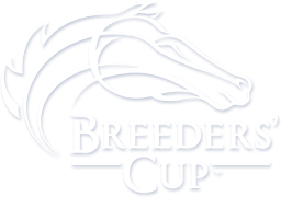 Breeders' Cup Betting and Promos at FanDuel Racing