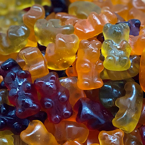 Fastachi | Gourmet Roasted Nuts & Handmade Chocolates