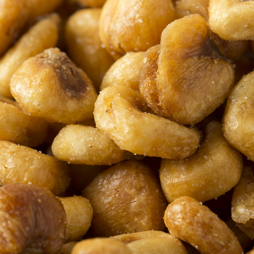 Salted Toasted Corn Nuts | Dired Corn Snacks by Fastachi