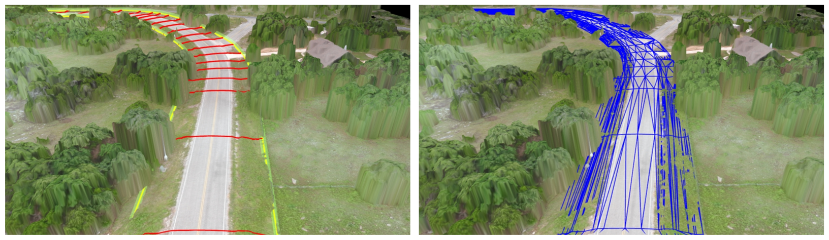 Road Survey with Section Lines | Virtual Surveyor : Support Portal