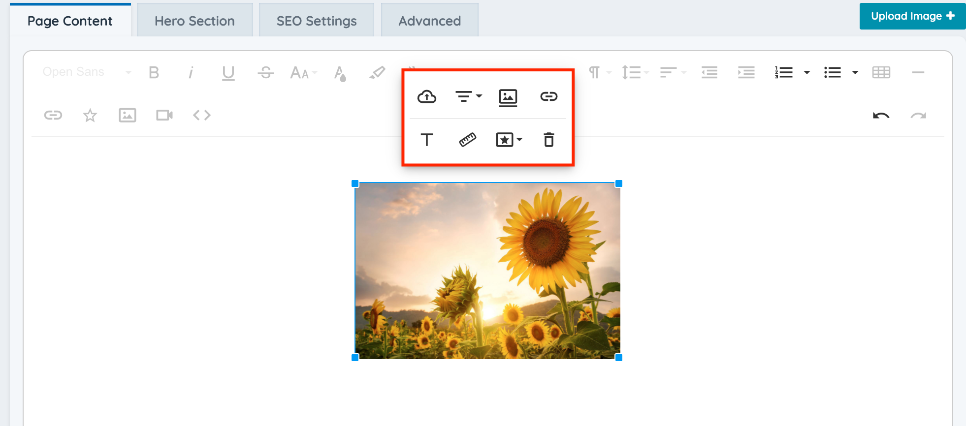 Brilliant Directories - Everything About Froala WYSIWYG Text Editor - Brilliant Directories ...