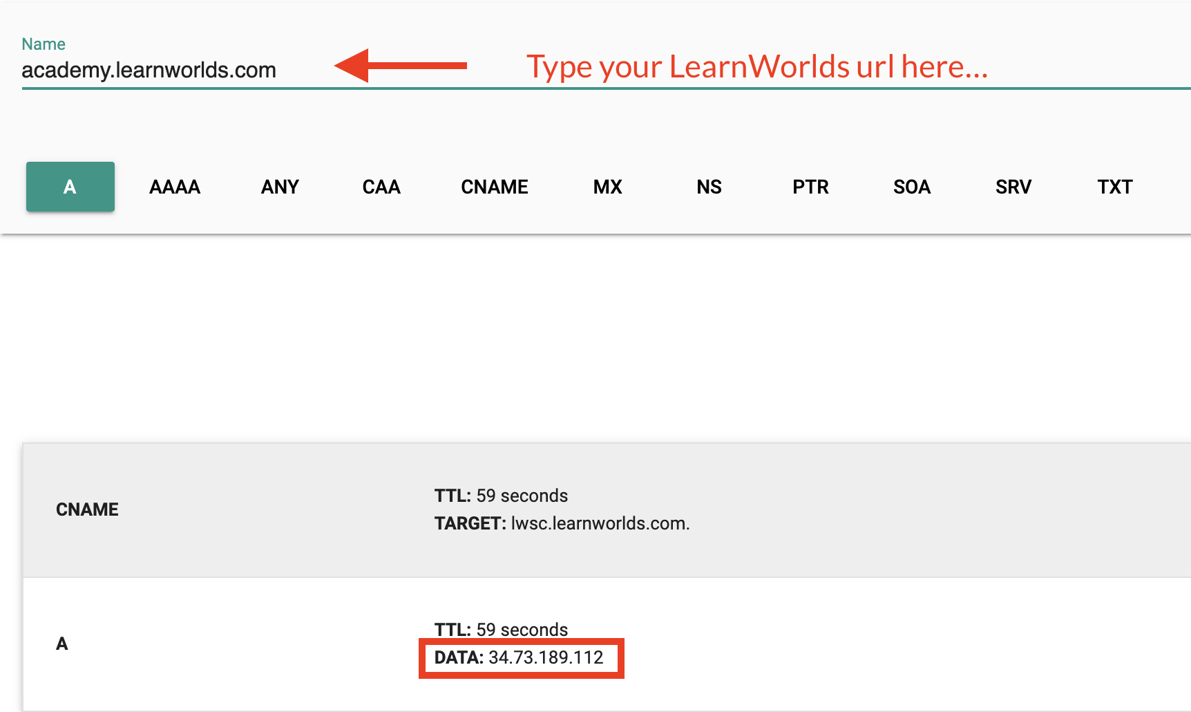 How to Connect your Naked Domain (without www) : LearnWorlds Help Center
