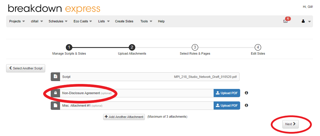 Script Sides Casting