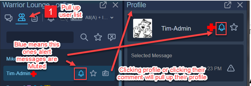Adjust Audio & Visual Alerts in the Chat Room | WT : Warrior Trading