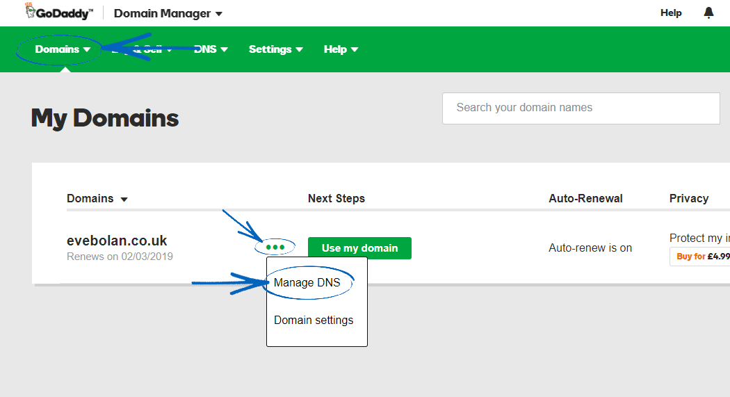 Pointing your GoDaddy Domain at your EKM online shop : EKM