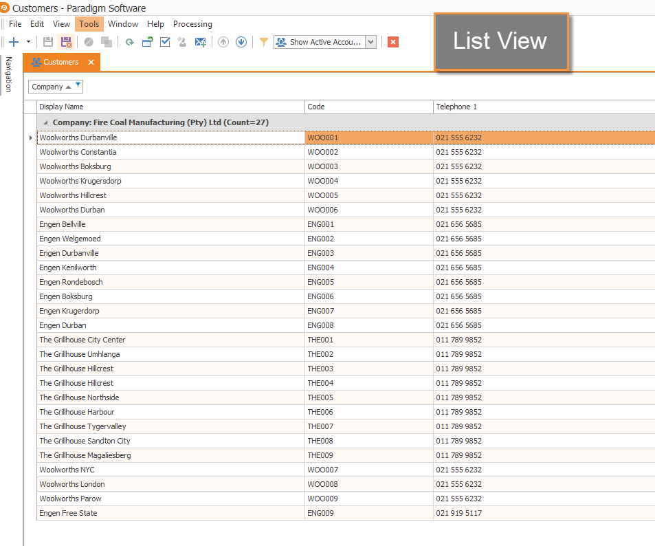 Navigational Overview : Paradigm Software and Hosting